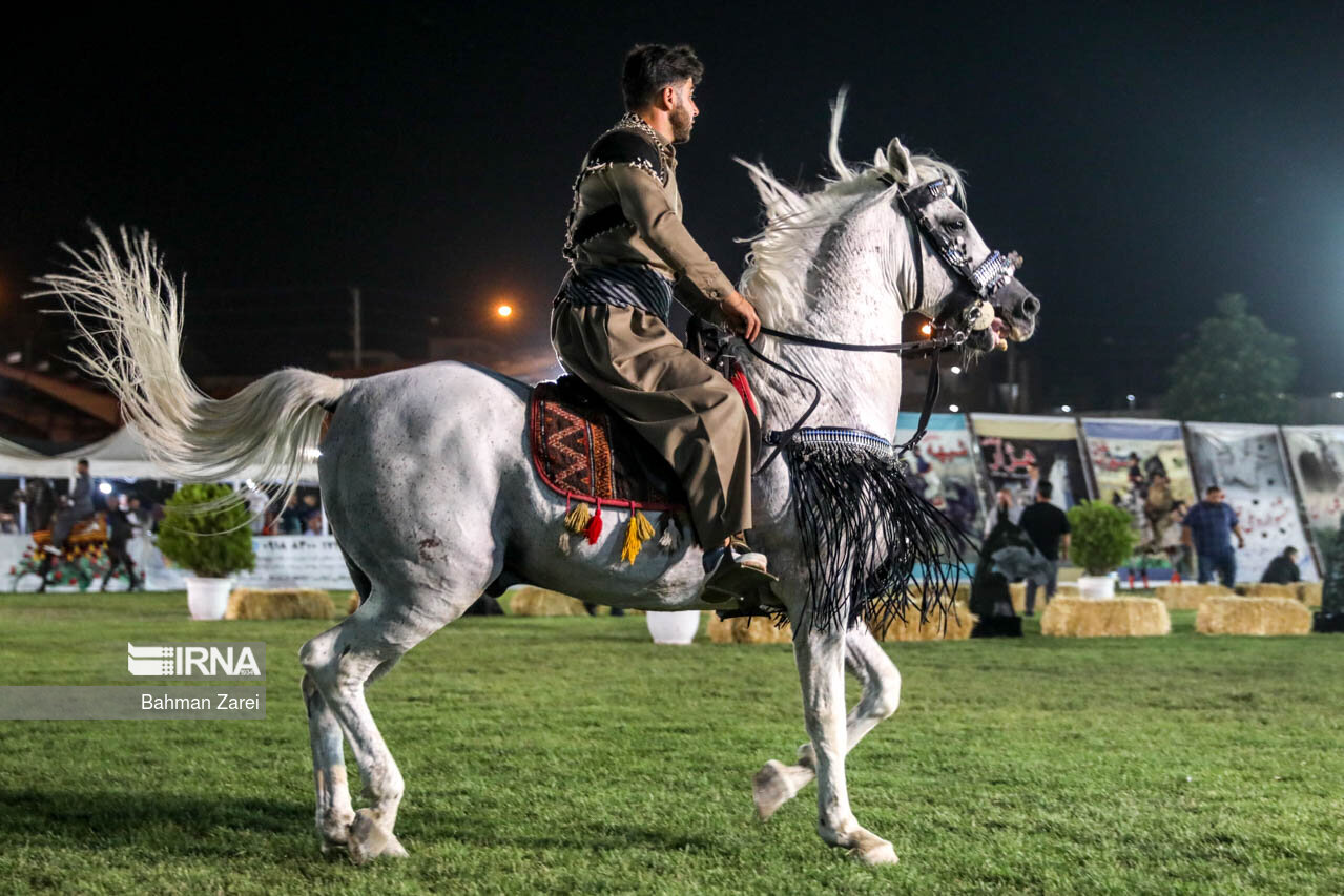 ایرنا - جشنواره اسب کرد