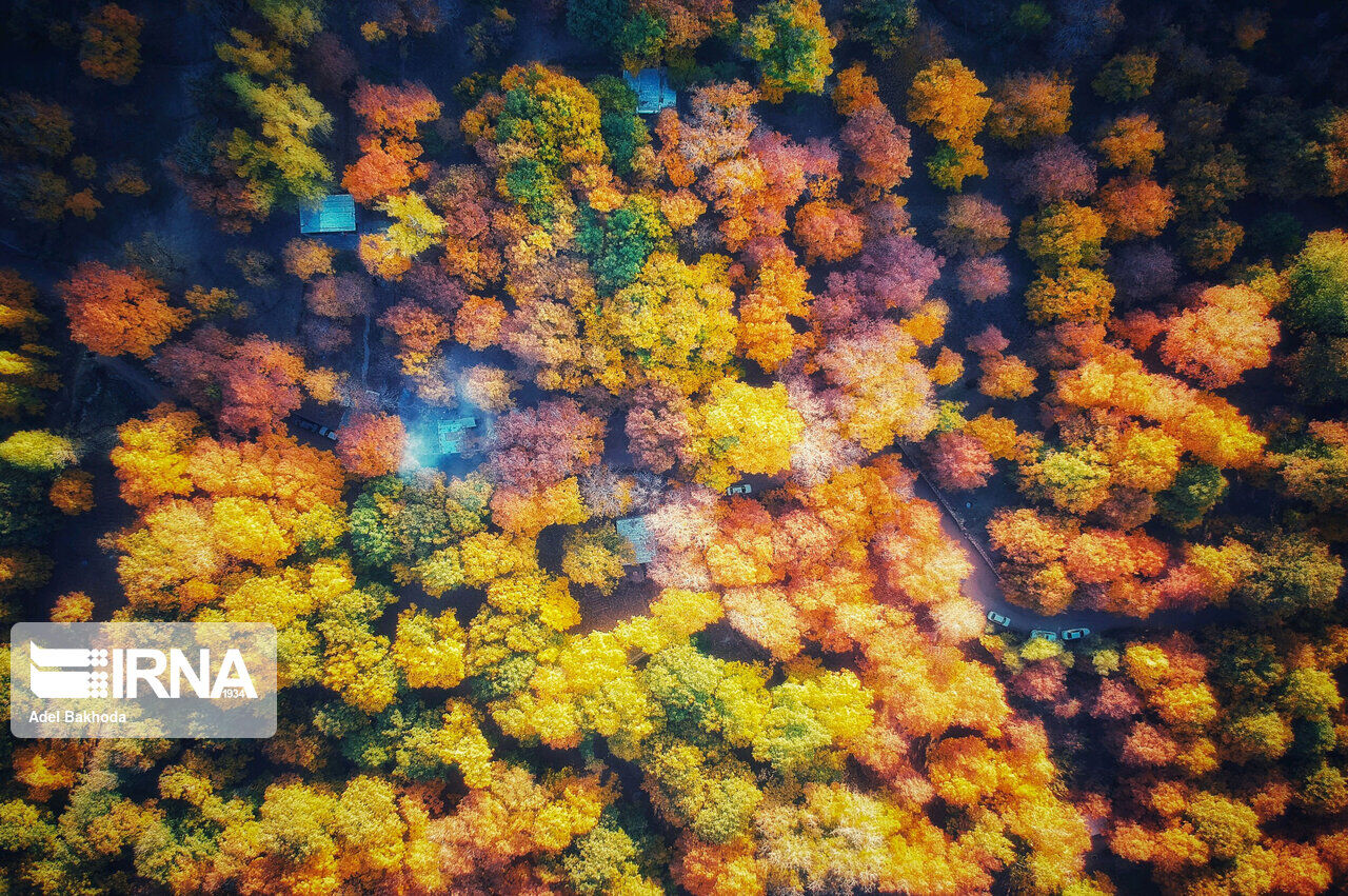 IRNA English - Eye-catching colorful autumn in Iran