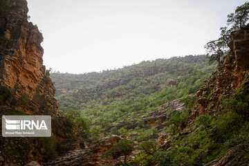 IRNA English - Shevi Waterfall in Dezfoul, southwestern Iran