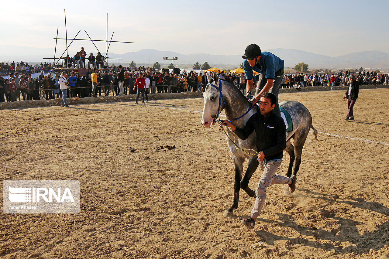 IRNA English - Turkmen Horse in Iran’s North Khorasan Province