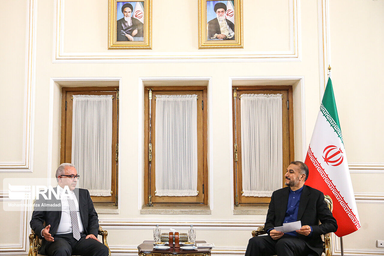 IRNA English - Meeting of Iran’s Amirabdollahian with Armenian deputy FM