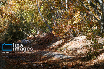 IRNA Français - L'automne sur les rives du fleuve Zayandeh Roud