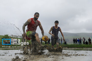 IRNA English - Football in paddy field