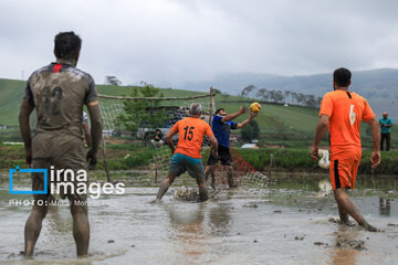 IRNA English - Football in paddy field