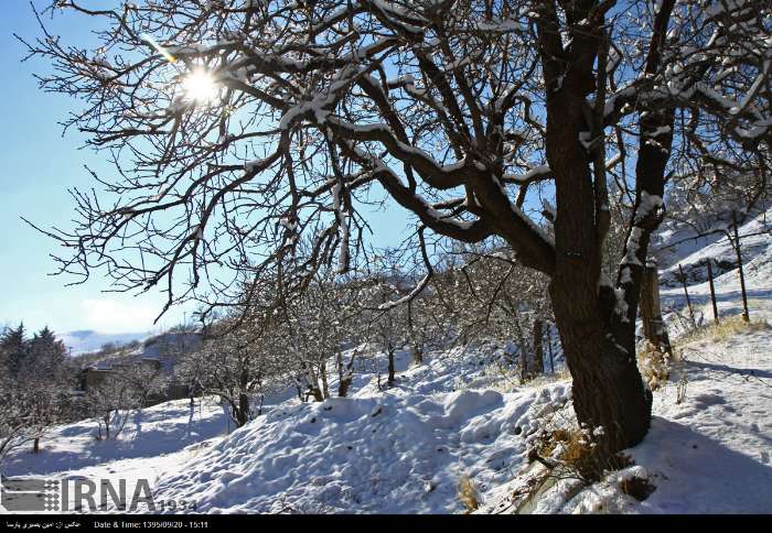 IRNA English - Snow covers several Iranian cities