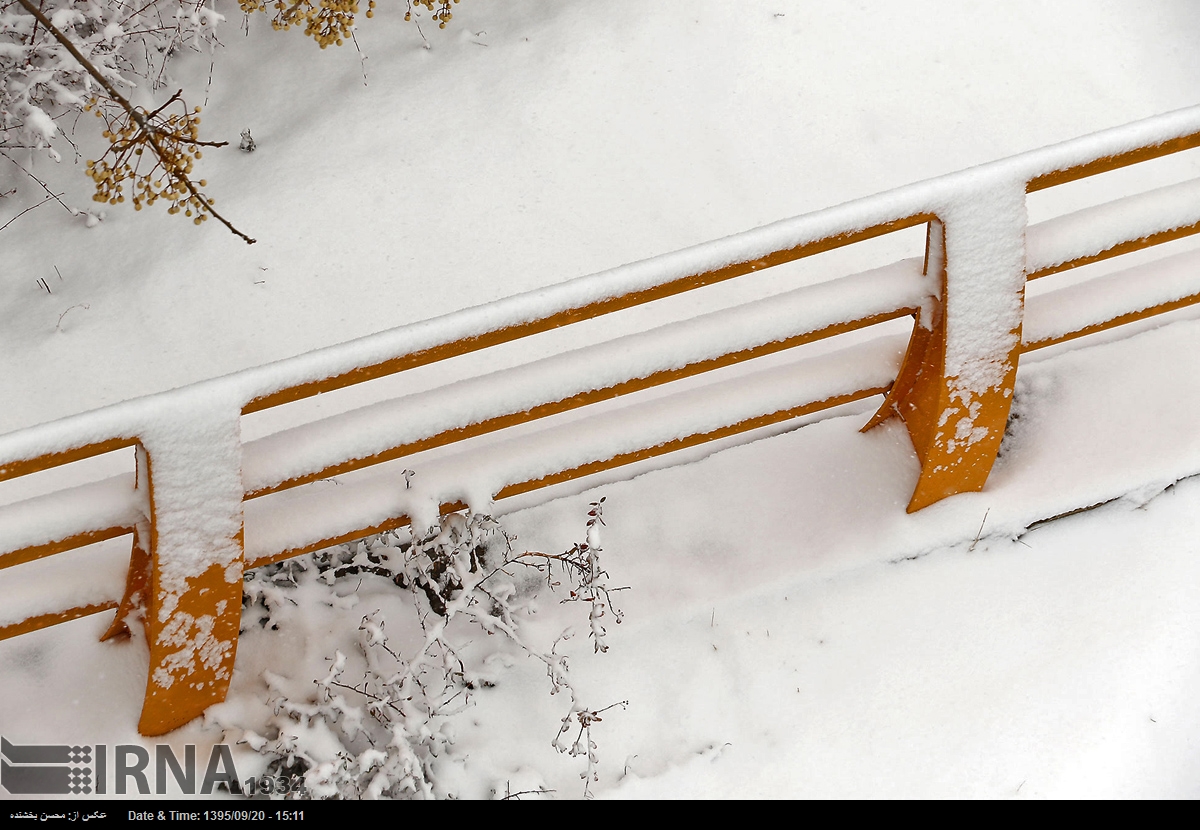 IRNA English - Snow covers several Iranian cities