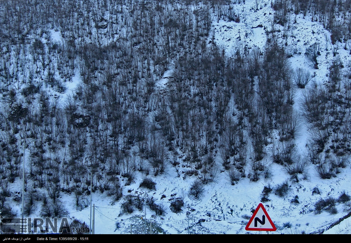 IRNA English - Snow covers several Iranian cities