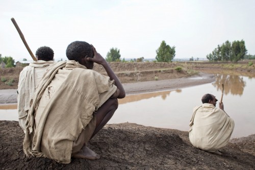 FAO: 815 million hungry people in world - IRNA English