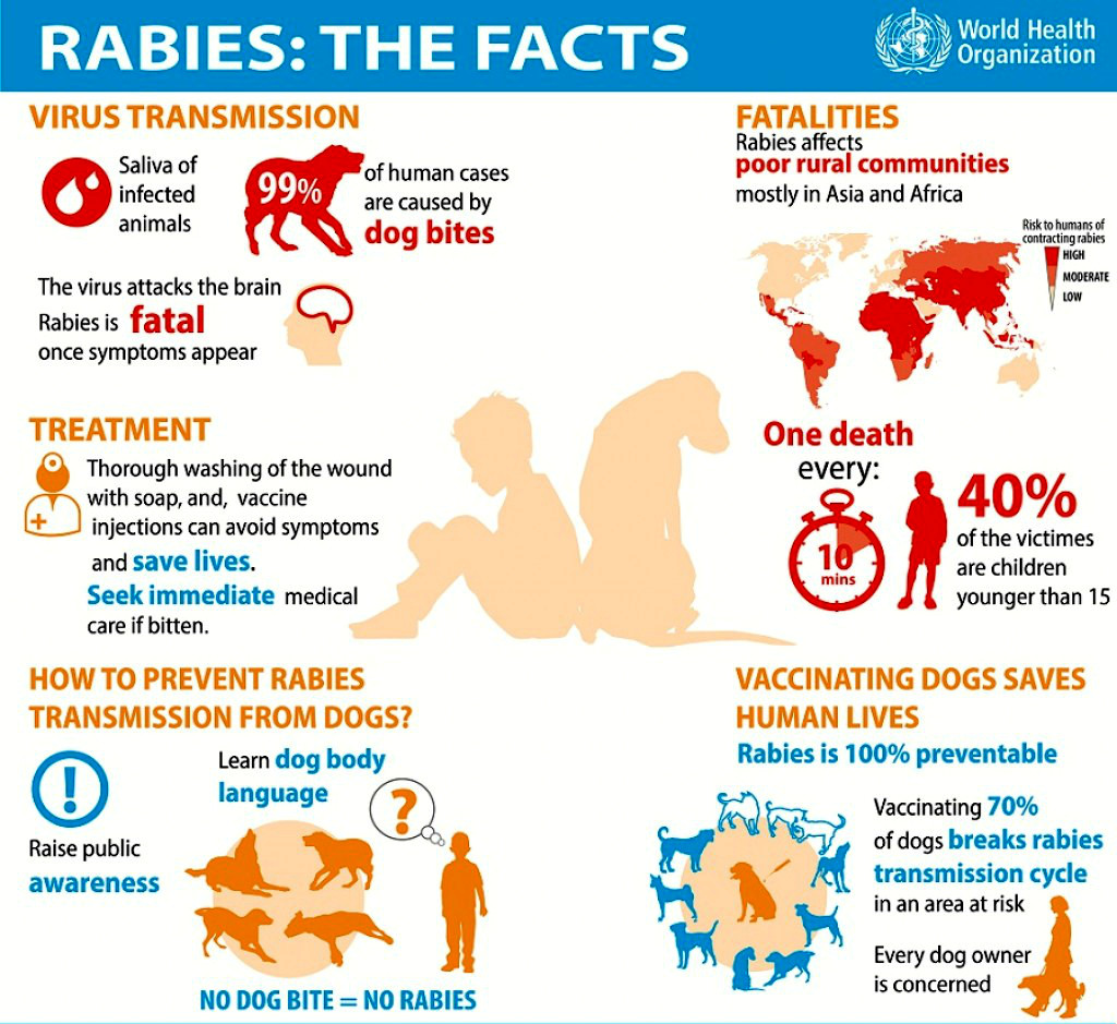 Int'l rabies workshop kicks off in Iran - IRNA English