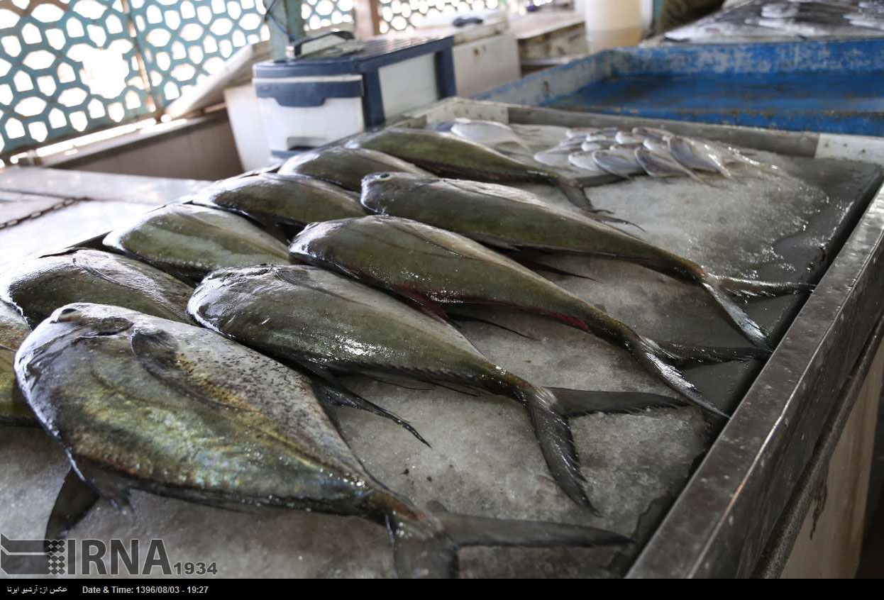 IRNA English - Bandar Abbas fish market in southern Iran