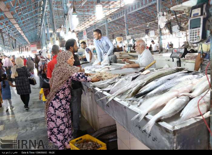 Iran Fish Market Chabahar Port Iran Iran Tours