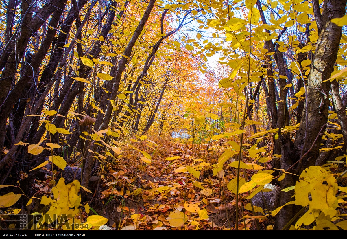 IRNA English - Autumn in Iran