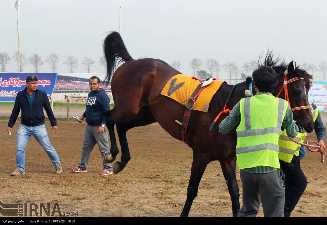 IRNA English - Horse racing in northern Iran