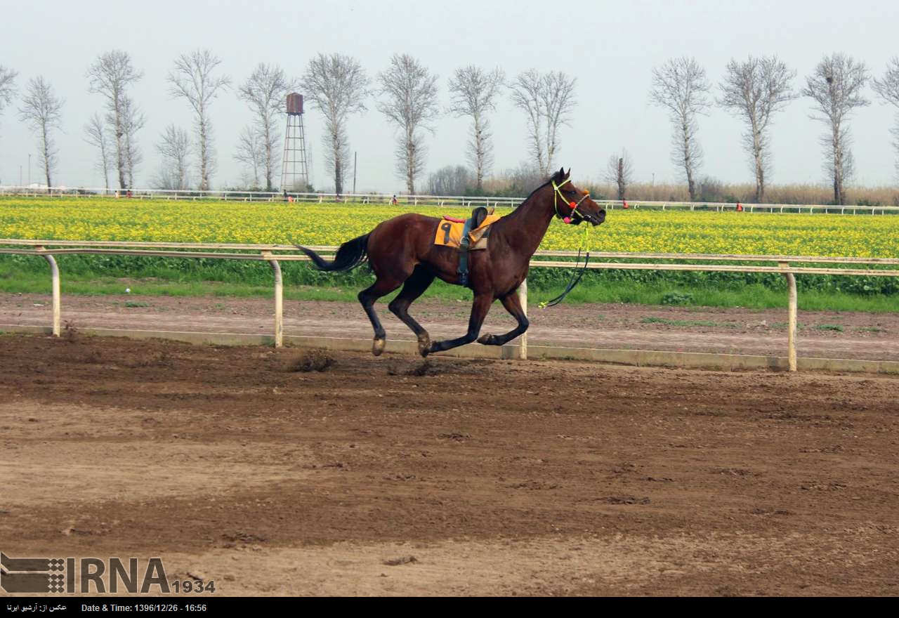 IRNA English - Horse racing in northern Iran