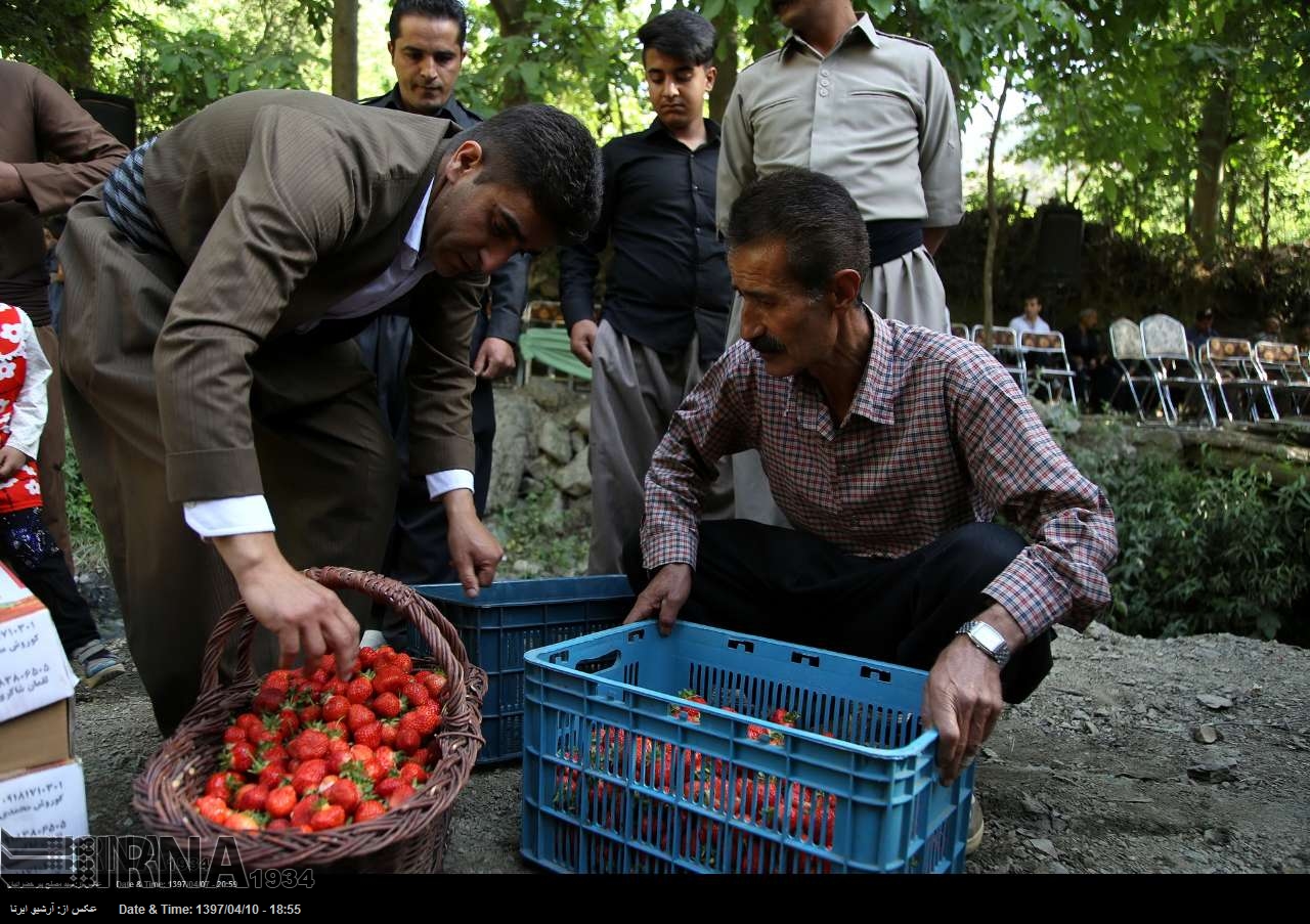 IRNA English - Strawberry festival in western Iran