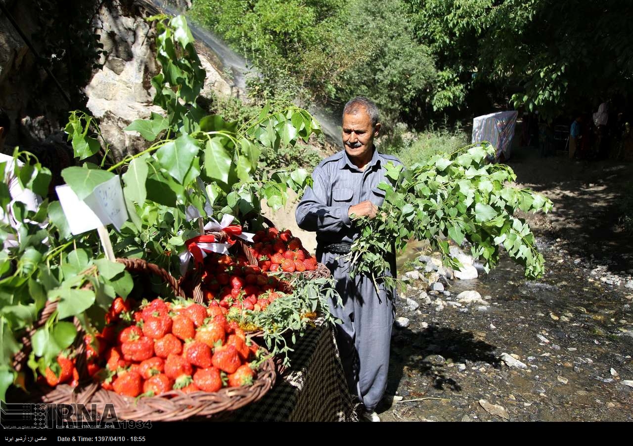 IRNA English - Strawberry festival in western Iran