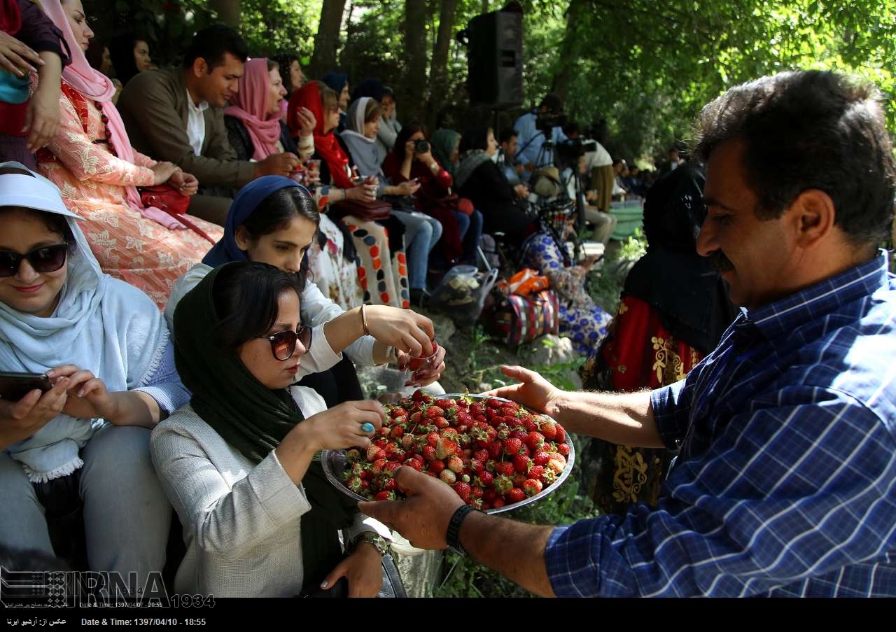 IRNA English - Strawberry festival in western Iran