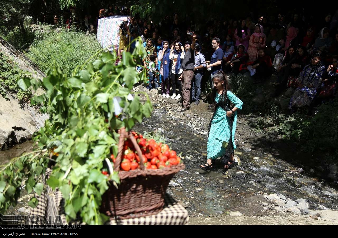 IRNA English - Strawberry festival in western Iran