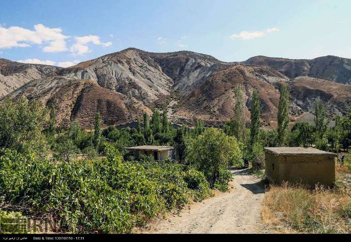 IRNA English - Grapes harvest in northeastern Iran