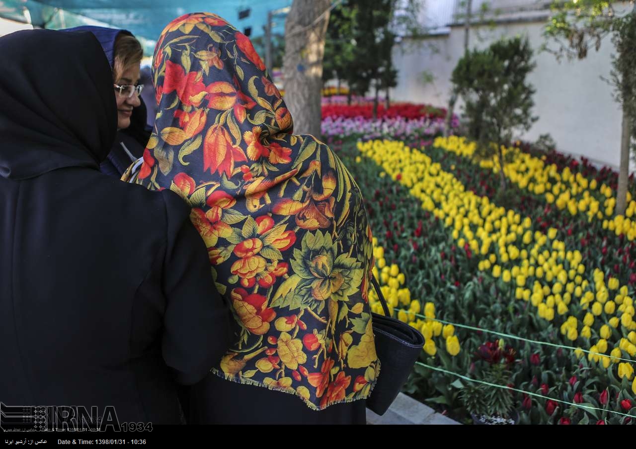 طبيب ايراني يزرع الالاف من ازهار التوليب تکريما للامهات - IRNA Arabic