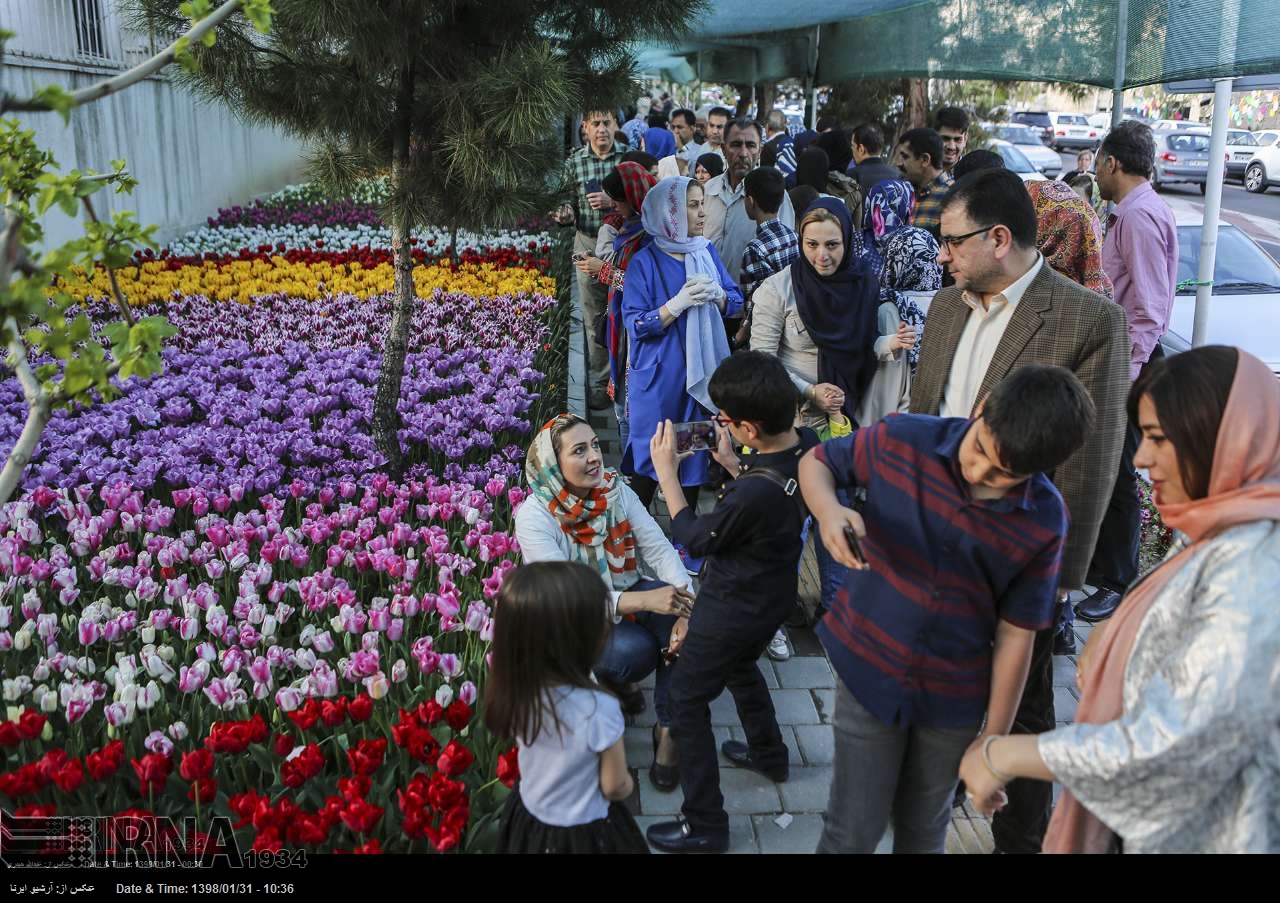 طبيب ايراني يزرع الالاف من ازهار التوليب تکريما للامهات - IRNA Arabic