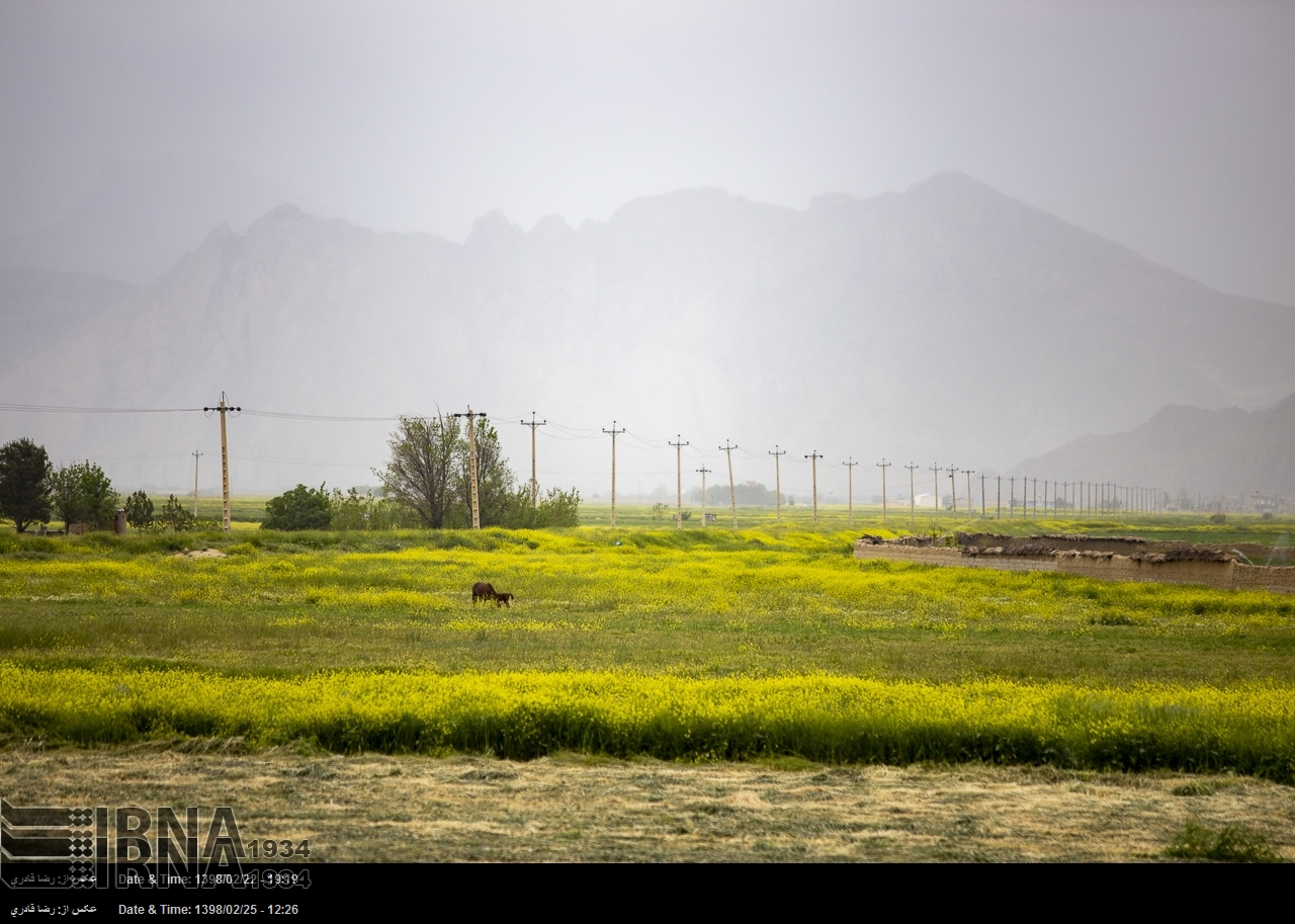 الربيع في تل آق تبه في مقاطعة مرودشت - IRNA Arabic